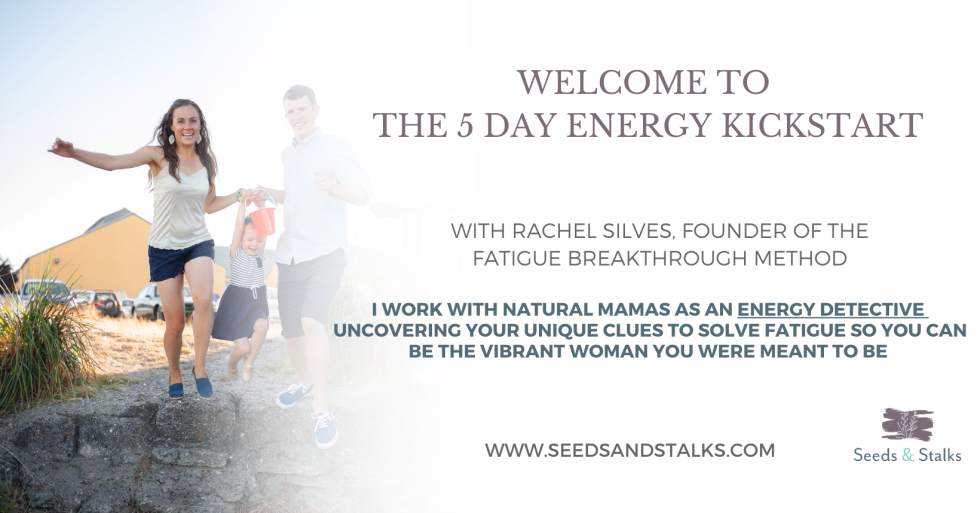 5 Day Energy Kickstart | Seeds and Stalks